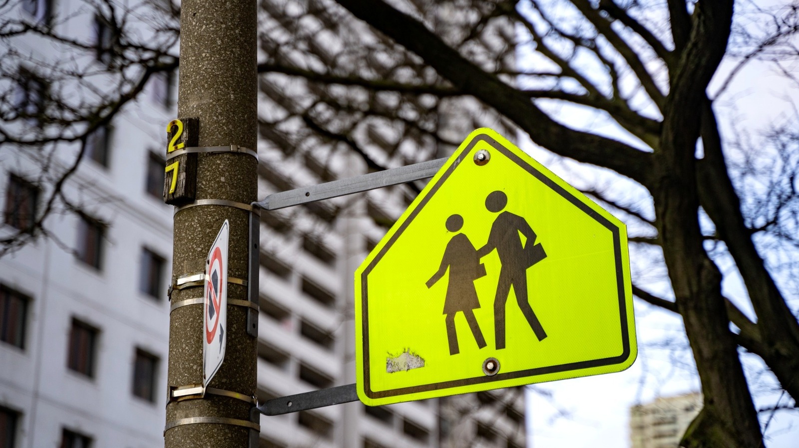 Fluorescent Yellow-Green and the Science Behind School Zone Sign Visibility