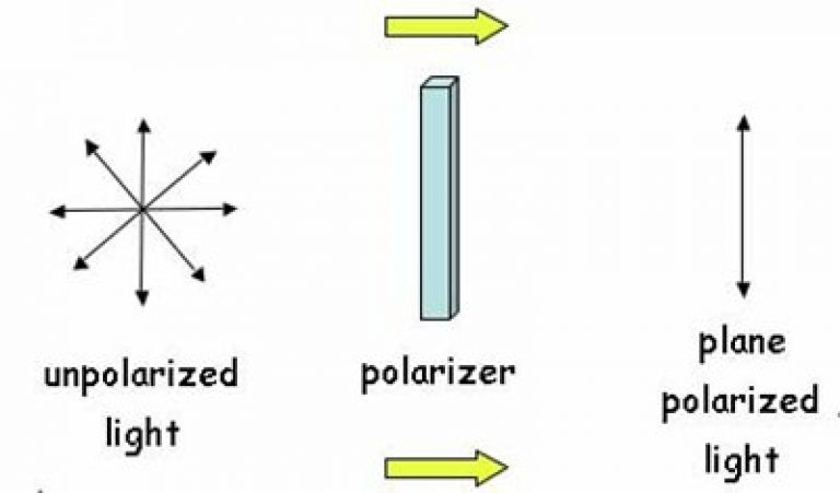 What is polarization? - Global Village Space