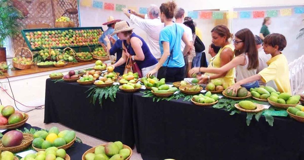 PAKISTAN HOSTS ONE OF THE LARGEST MANGO FESTIVALS IN DUBAI - Global ...