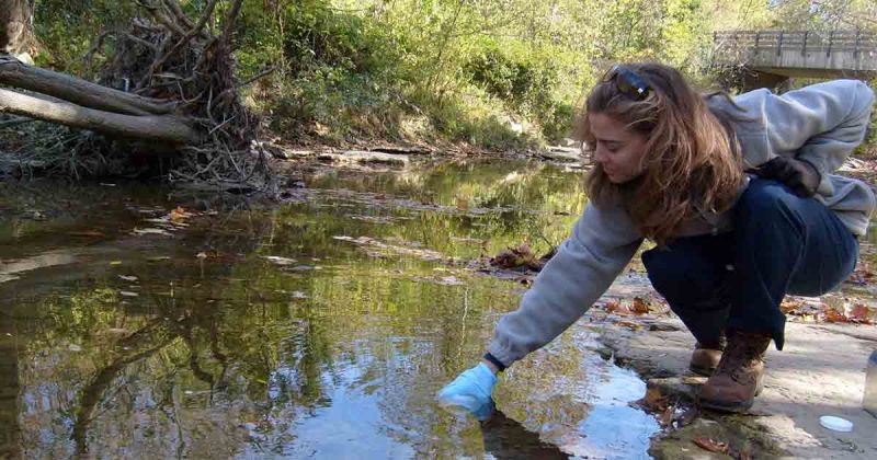 Clean water is a key factor for economic growth: World Bank