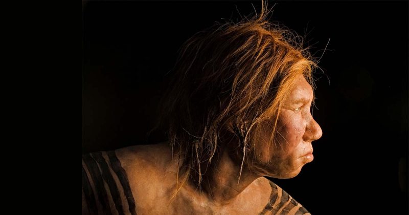 Scientists reconstruct appearance of ancient human relative using DNA