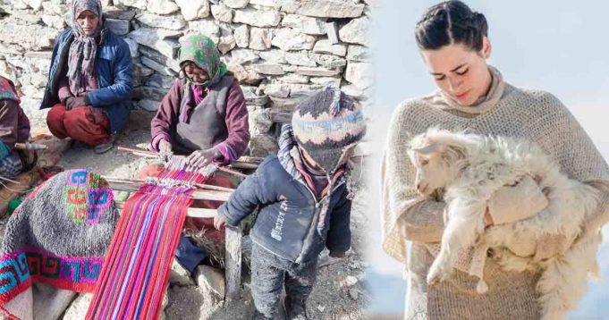 Ladakh's nomads and the future of pashmina wool - Global Village Space