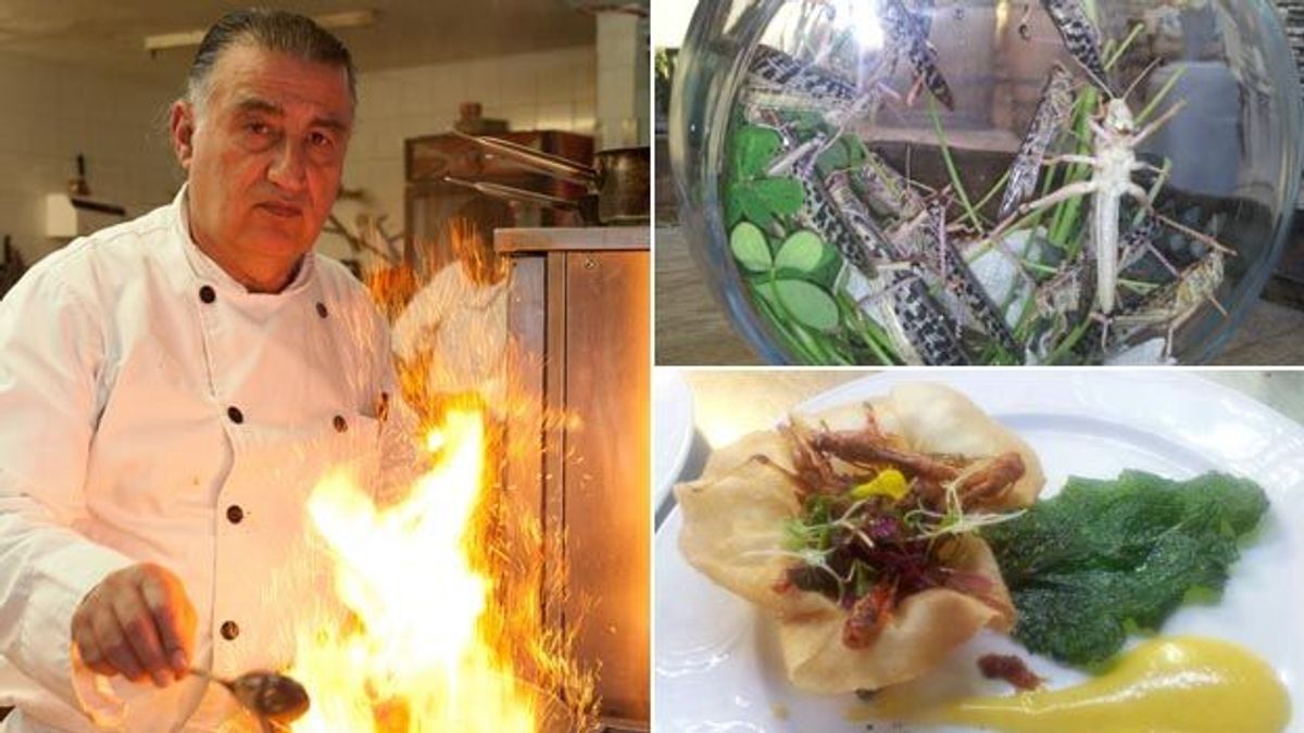 Israel joins the 'tiddi dal' club: Locusts anyone? - Global Village Space