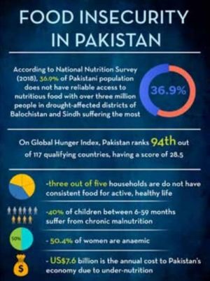 Ensuring Food Security in Pakistan - Global Village Space