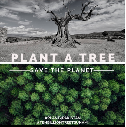 PM Khan’s billion tree tsunami success in pictures - Global Village Space