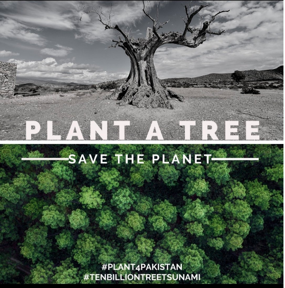 PM Khan’s billion tree tsunami success in pictures - Global Village Space
