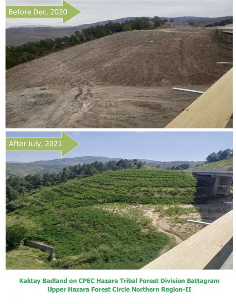 PM Khan’s billion tree tsunami success in pictures - Global Village Space