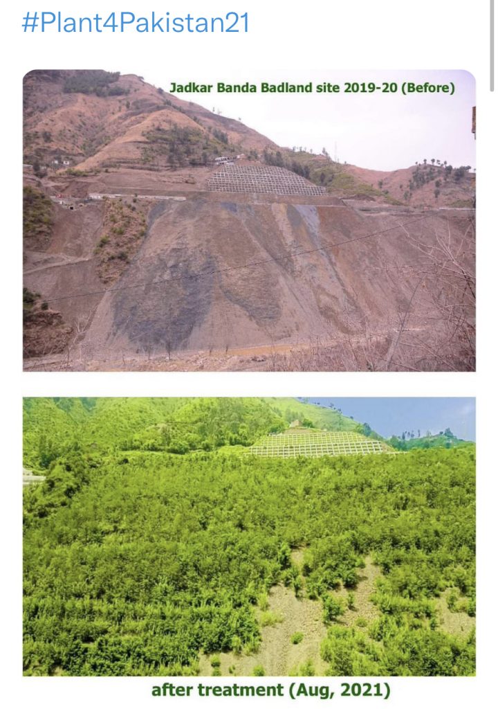 PM Khan’s billion tree tsunami success in pictures - Global Village Space