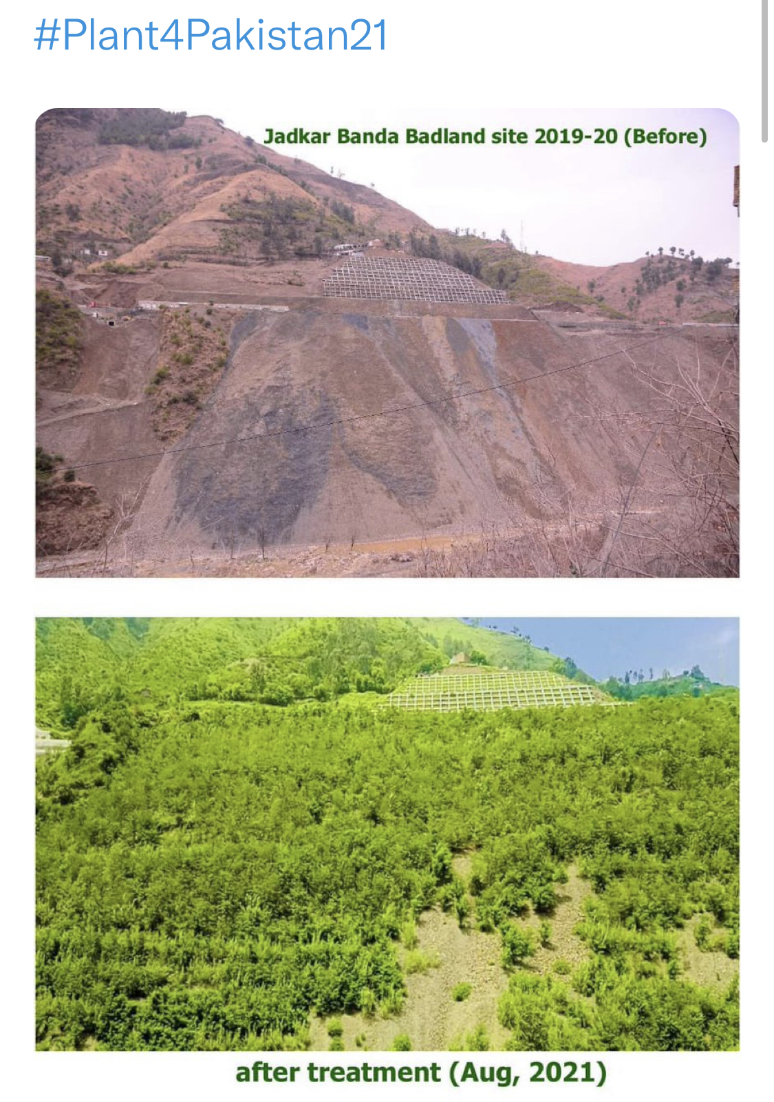 PM Khan’s billion tree tsunami success in pictures - Global Village Space