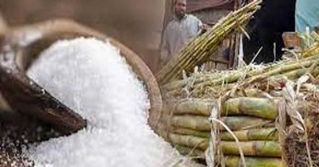 Sugar: Poisoning our health, industry and economy - Global Village Space