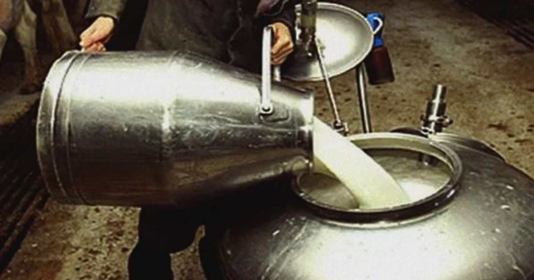 Largest Chinese company to buy milk from Pakistan - Global Village Space