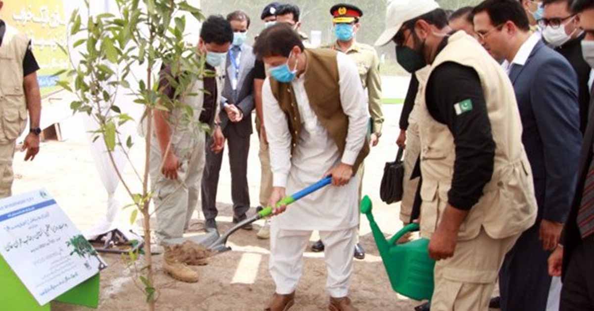 Plant 5 trees: PM urges citizens