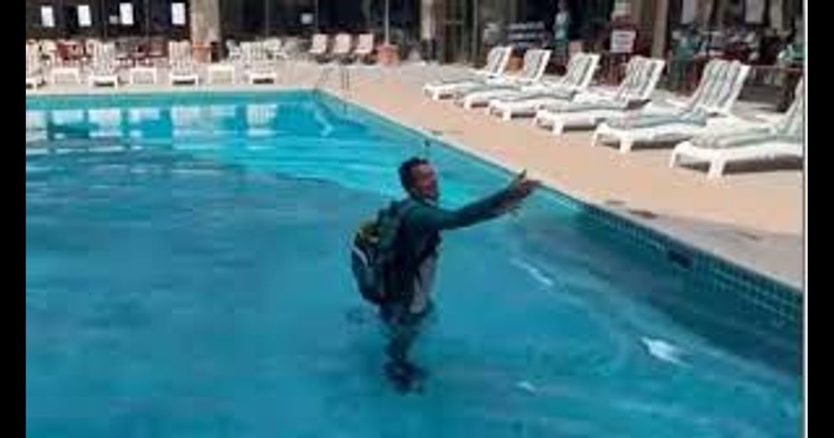 WATCH: Aussie cricketer Alex Carey takes a hilarious plunge in swimming ...