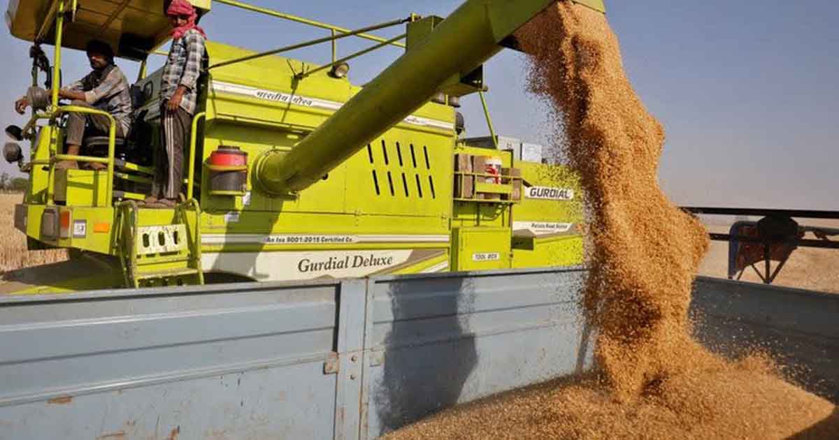 UAE bans exports of Indian wheat