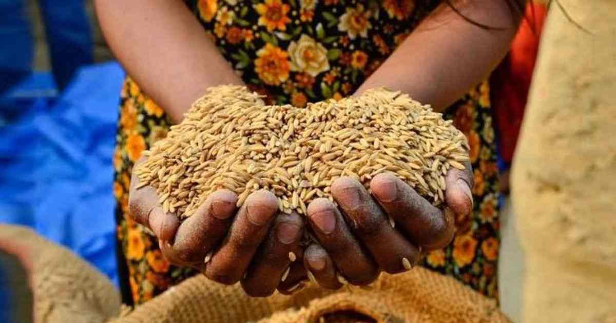 Pakistan improves ranking on Global Hunger Index - Global Village Space