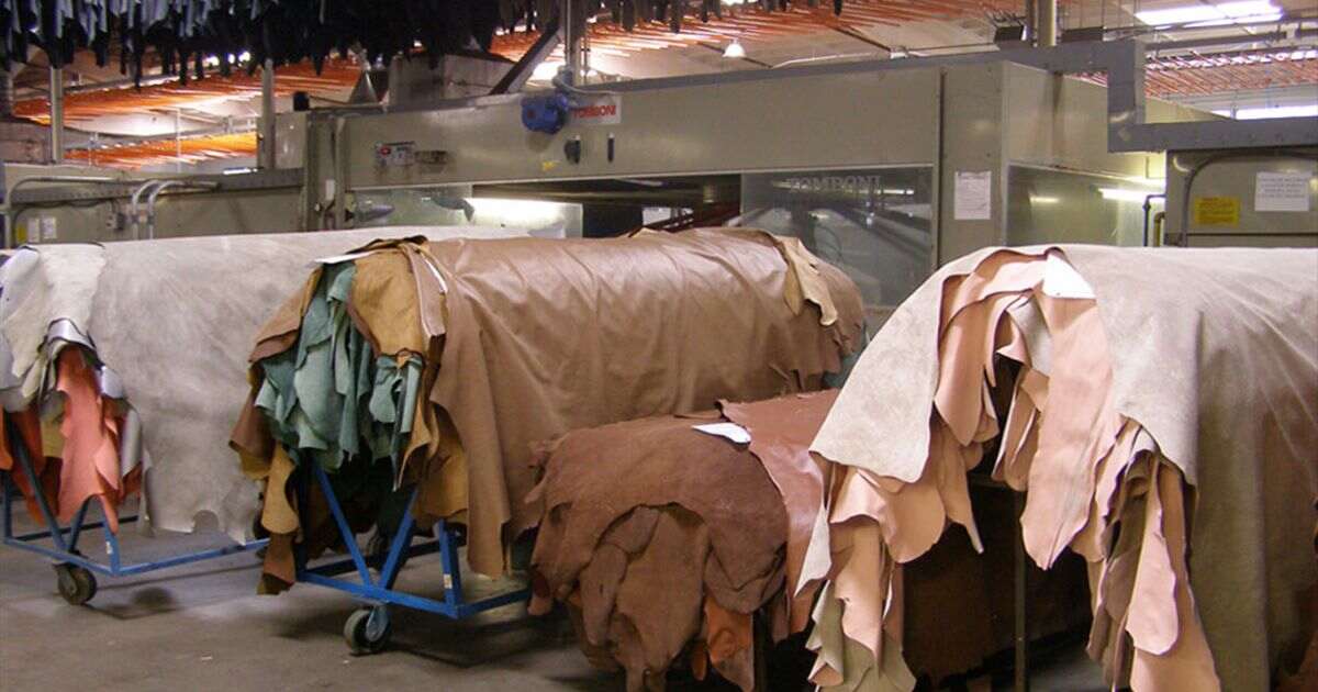 Pakistan's leather exports fell by 18.99 percent- PBS