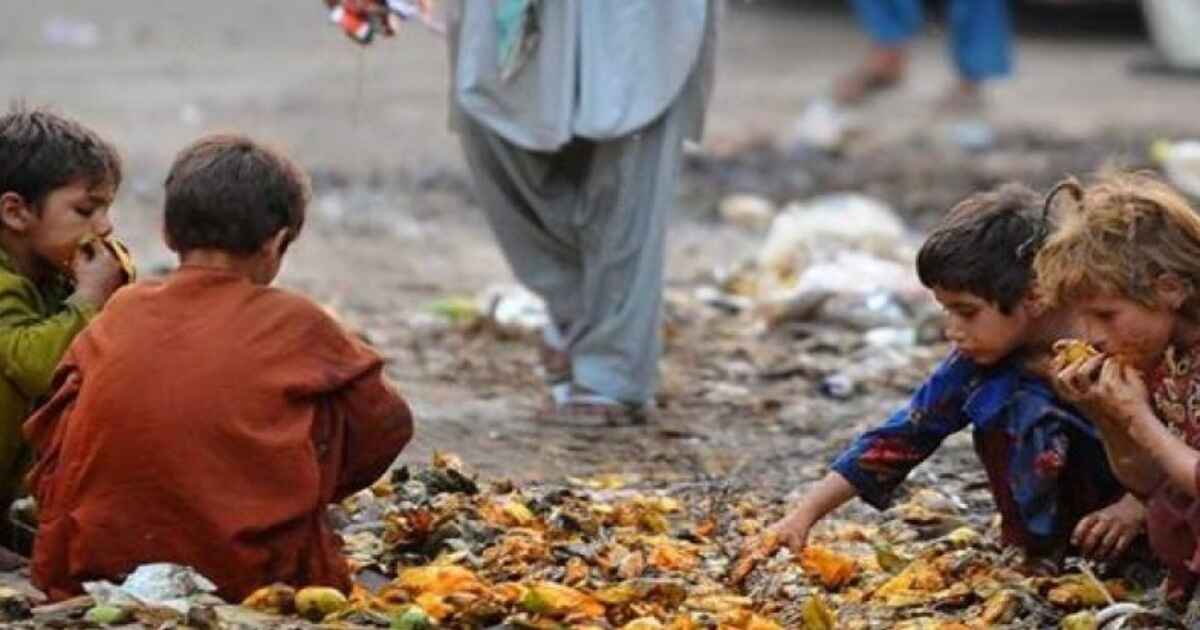 Pakistan wastes $4 billion worth of food every year - Global Village Space
