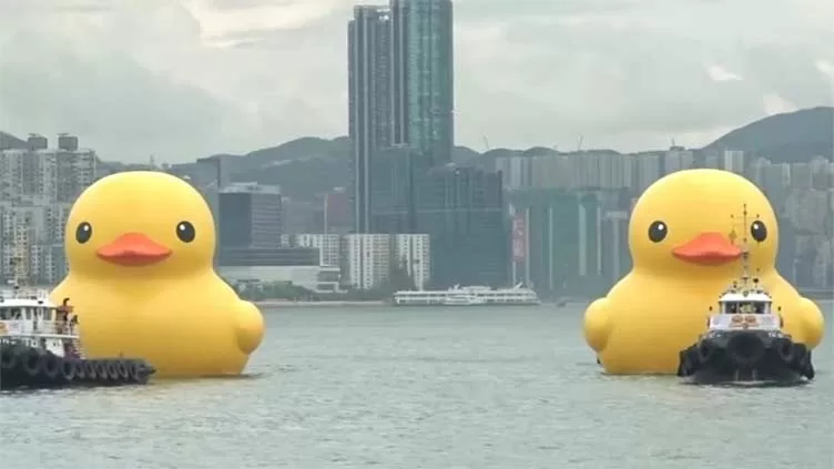 Two giant rubber ducks debut in Hong Kong in bid to drive ‘double ...