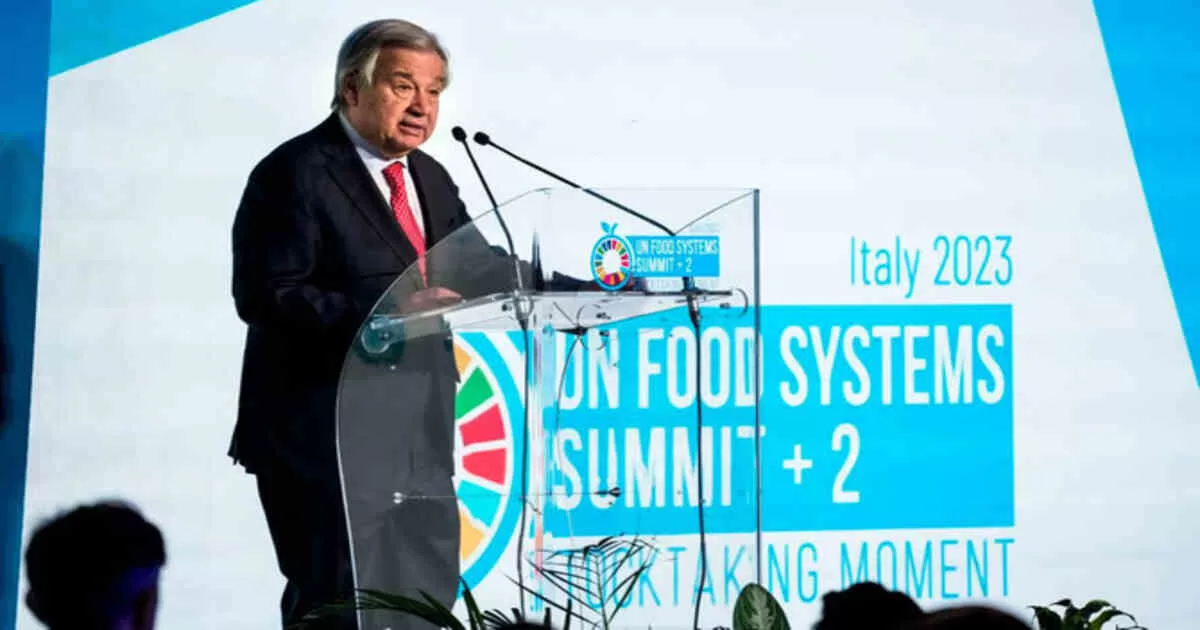 UN summit confronts the dual crisis of food insecurity - Global Village ...