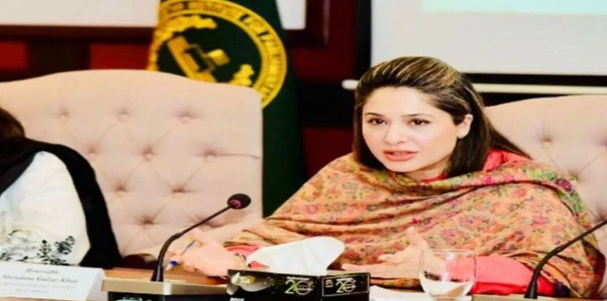 Shandana Gulzar's Detention Order Suspended, Pending Further Hearing ...