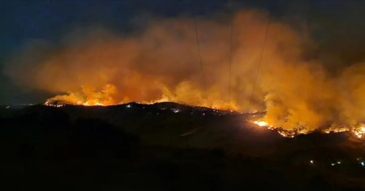 Hundreds evacuated as forest fire rages in Turkey - Global Village Space