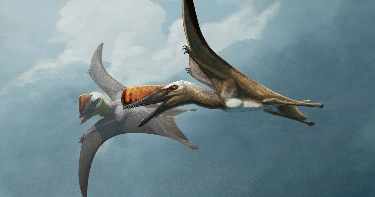 Paleontologists find fossils that reveals evolution of prehistoric ...
