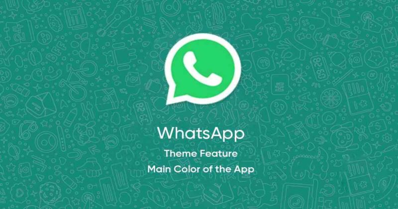 New theme colors redefine WhatsApp Business's look - Global Village Space