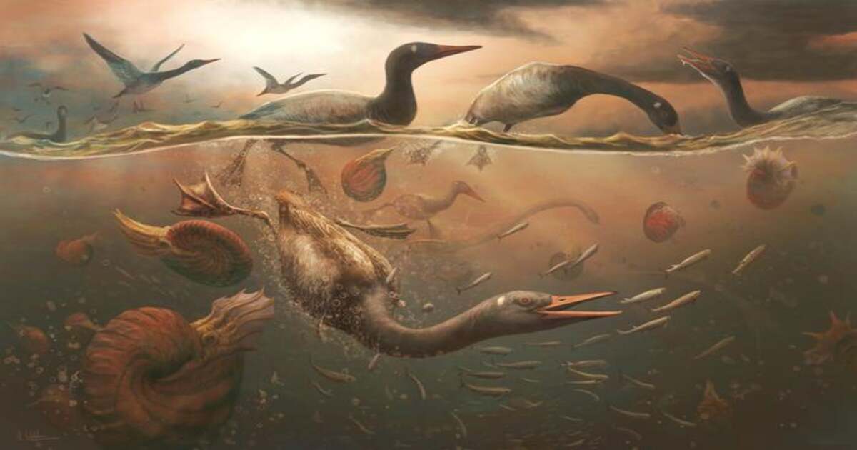 Oldest modern bird fossil found in Antarctica sheds light on avian ...
