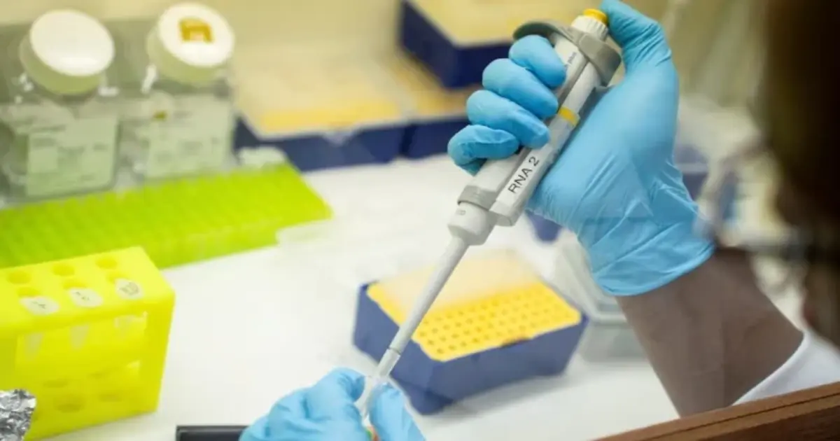 Pakistani girl first foreign minor cured with China’s gene-editing ...