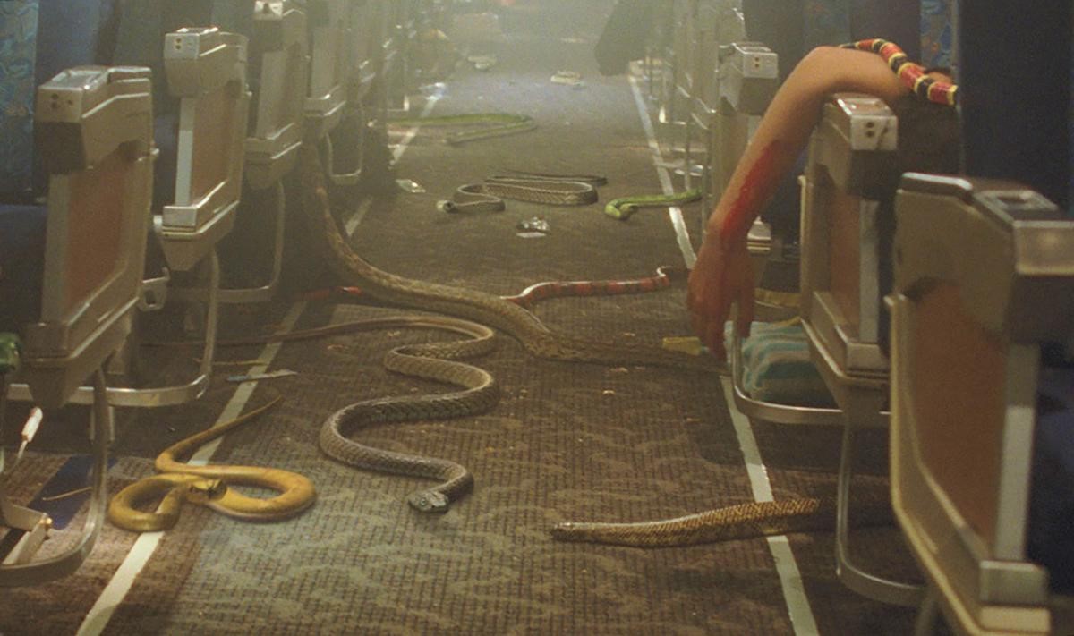 Snakes on a plane: Indian smuggler caught with venomous vipers - Global ...