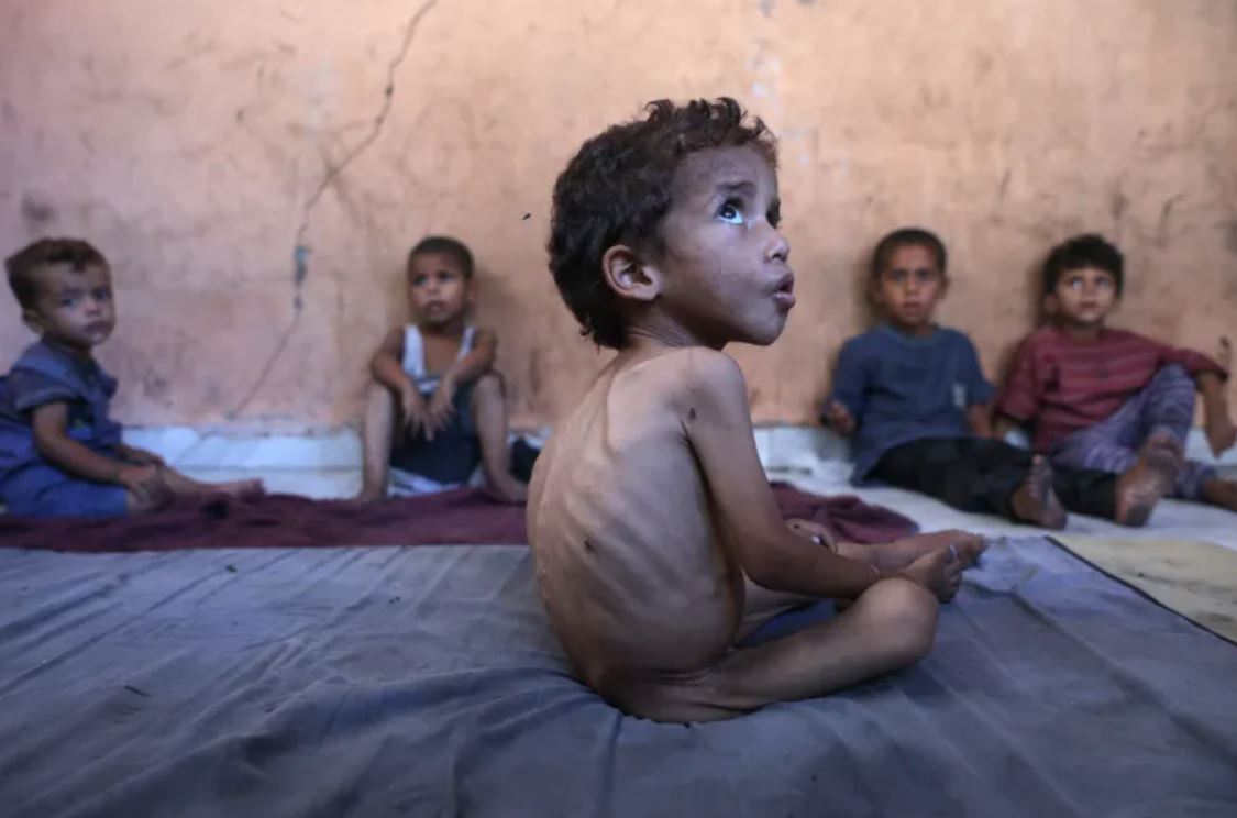 Israeli Attacks Escalate Gaza's Humanitarian Collapse - Global Village ...